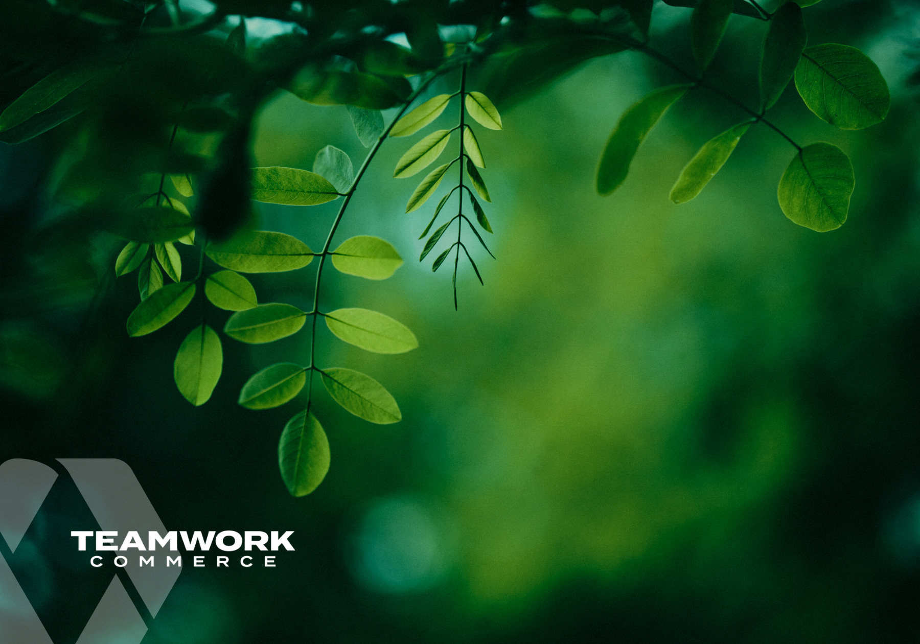 Teamwork Commerce is Helping Retail become more Sustainable